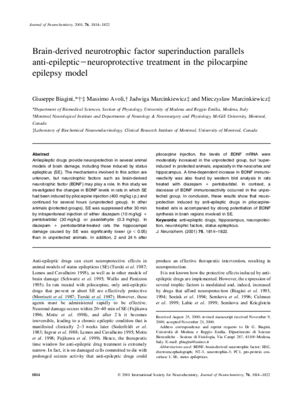 (PDF) Brain-derived neurotrophic factor superinduction parallels anti-epileptic−neuroprotective ...