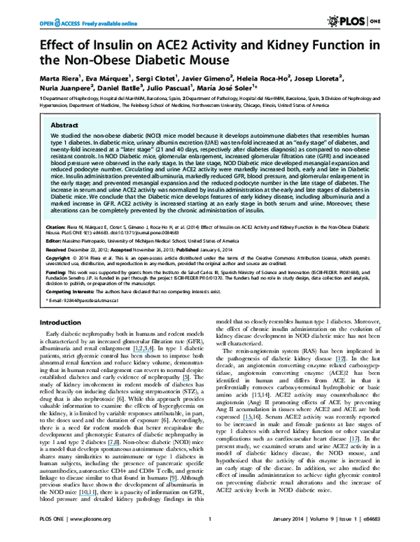 (PDF) Effect of Insulin on ACE2 Activity and Kidney Function in the Non ...