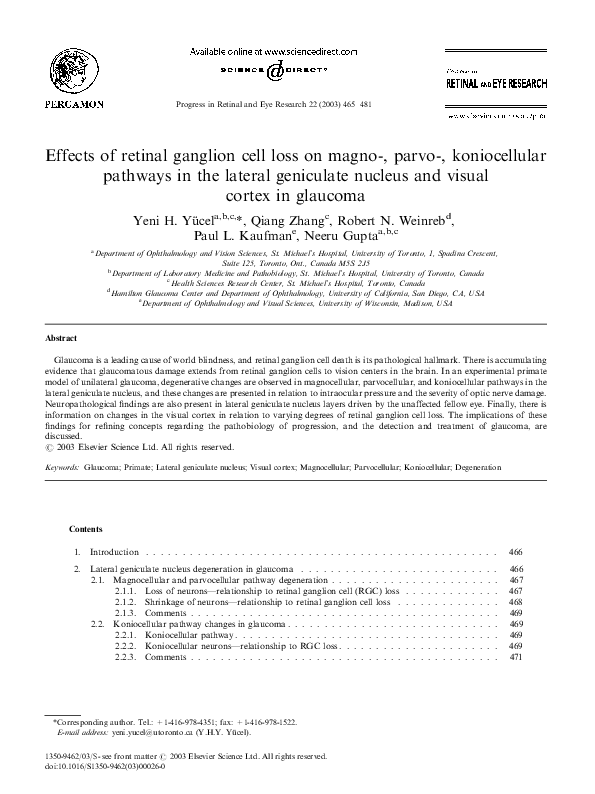 (PDF) Effects of retinal ganglion cell loss on magno-, parvo ...