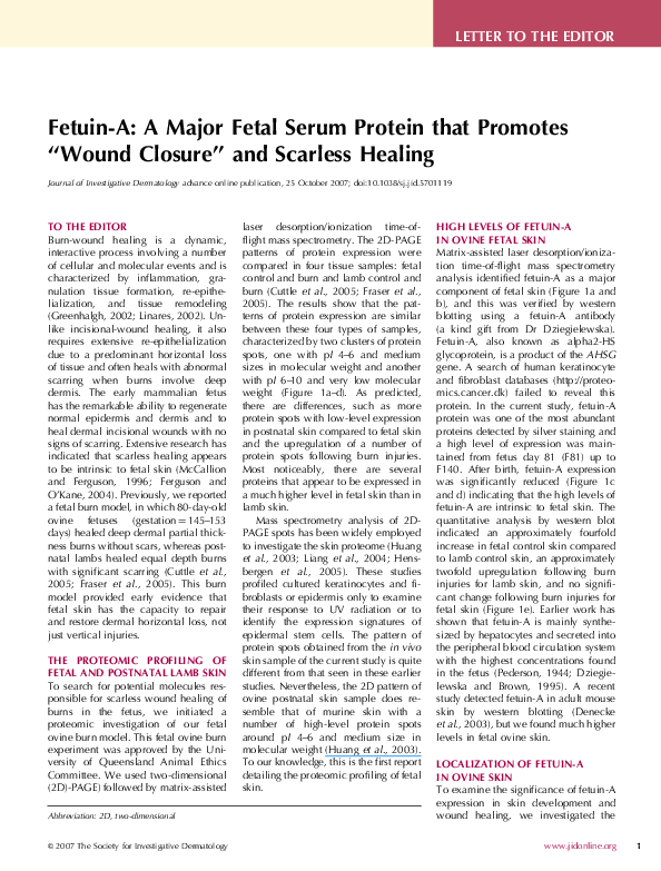 (PDF) Fetuin-A: A Major Fetal Serum Protein that Promotes “Wound ...