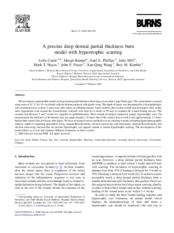 (PDF) A porcine deep dermal partial thickness burn model with ...