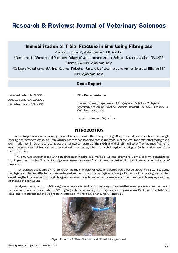 (PDF) Immobilization of Tibial Fracture in Emu Using Fibreglass