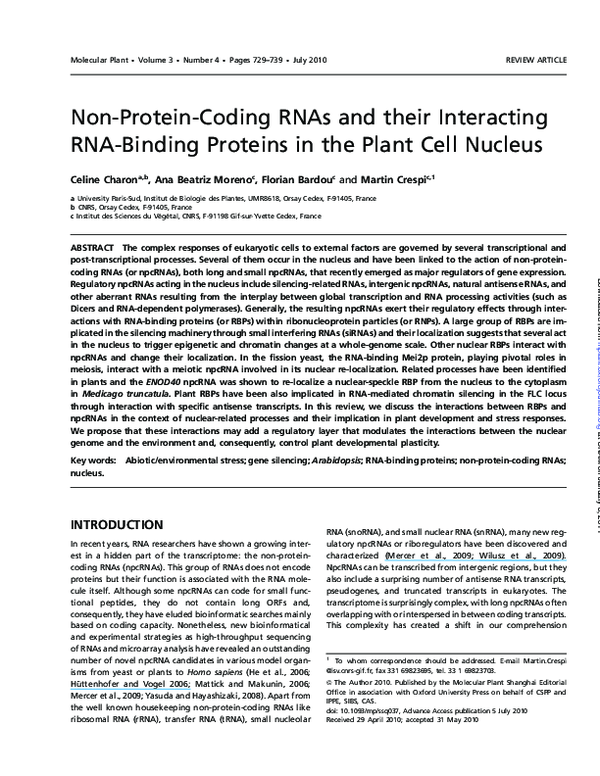 (PDF) Non-Protein-Coding RNAs and their Interacting RNA-Binding Proteins in the Plant Cell Nucleus