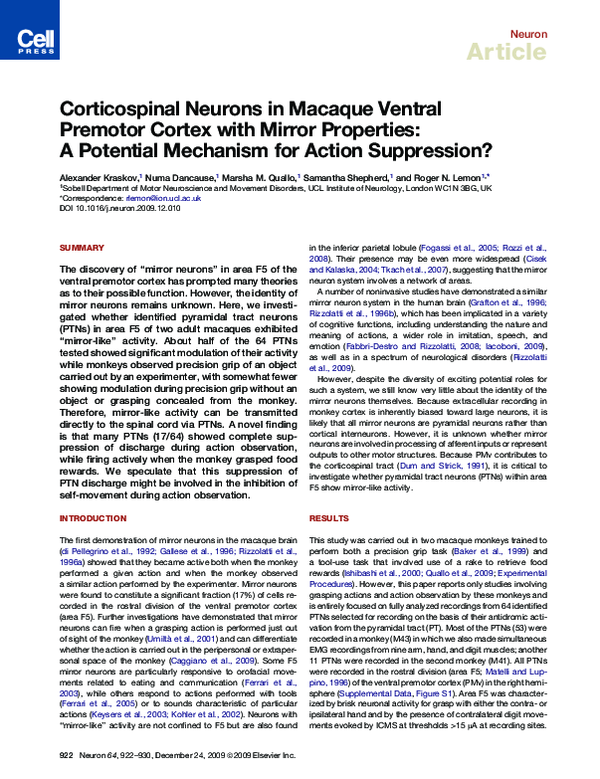 (PDF) Corticospinal Neurons in Macaque Ventral Premotor Cortex with Mirror Properties: A ...