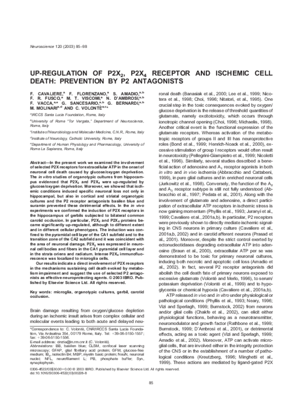 (PDF) Up-regulation of P2X2, P2X4 receptor and ischemic cell death ...
