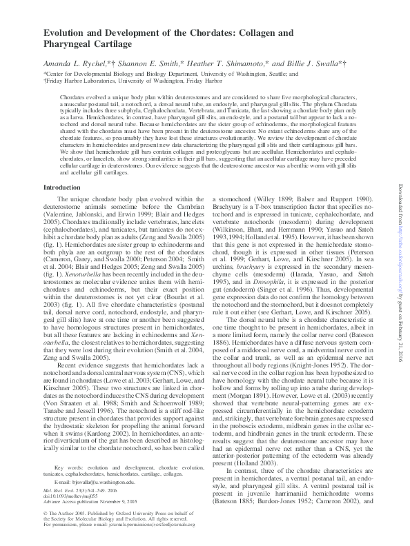 (PDF) Evolution and Development of the Chordates: Collagen and ...