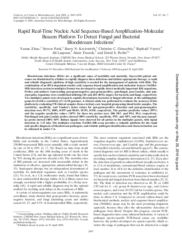 (PDF) Rapid Real-Time Nucleic Acid Sequence-Based Amplification-Molecular Beacon Platform To ...