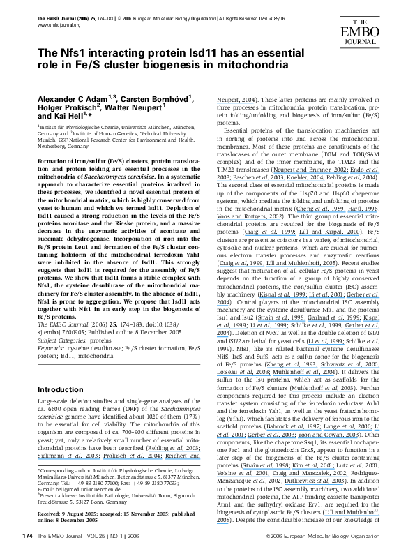 (PDF) The Nfs1 interacting protein Isd11 has an essential role in Fe/S ...