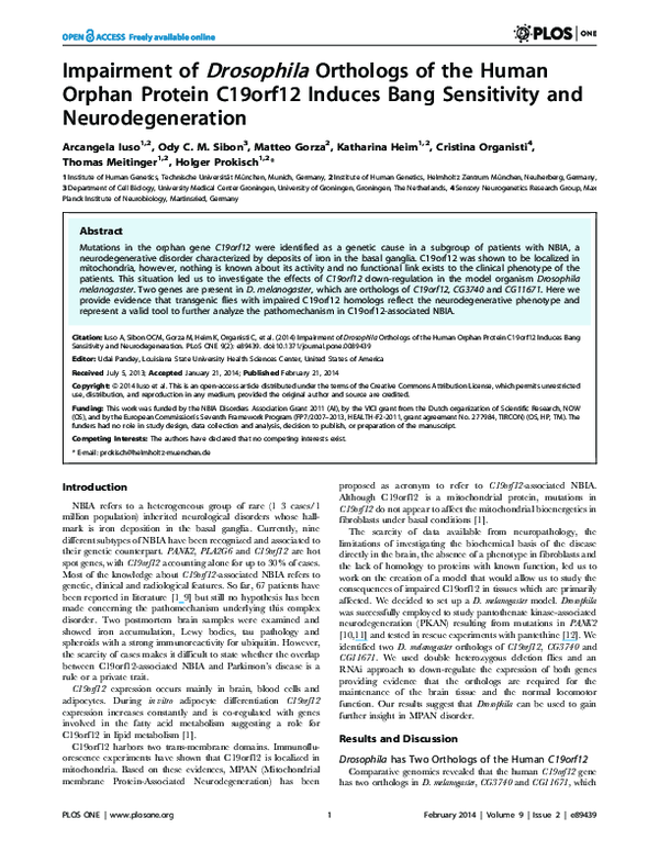 (PDF) Impairment of Drosophila Orthologs of the Human Orphan Protein ...