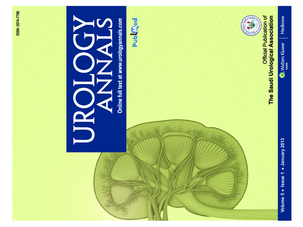 (PDF) Reliability of Arabic ICIQ-UI short form in Saudi Arabia