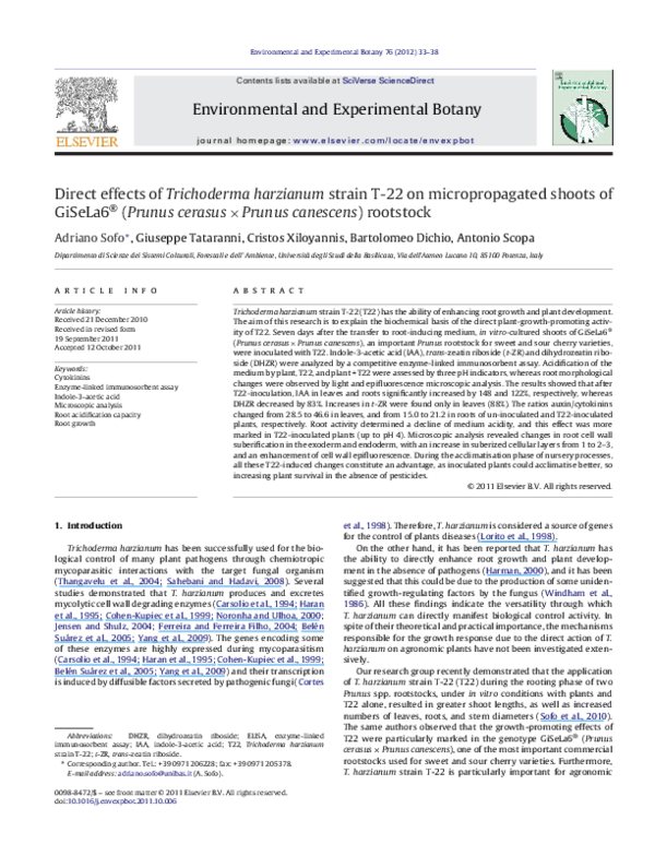 (PDF) Direct effects of Trichoderma harzianum strain T-22 on micropropagated shoots of GiSeLa6 ...