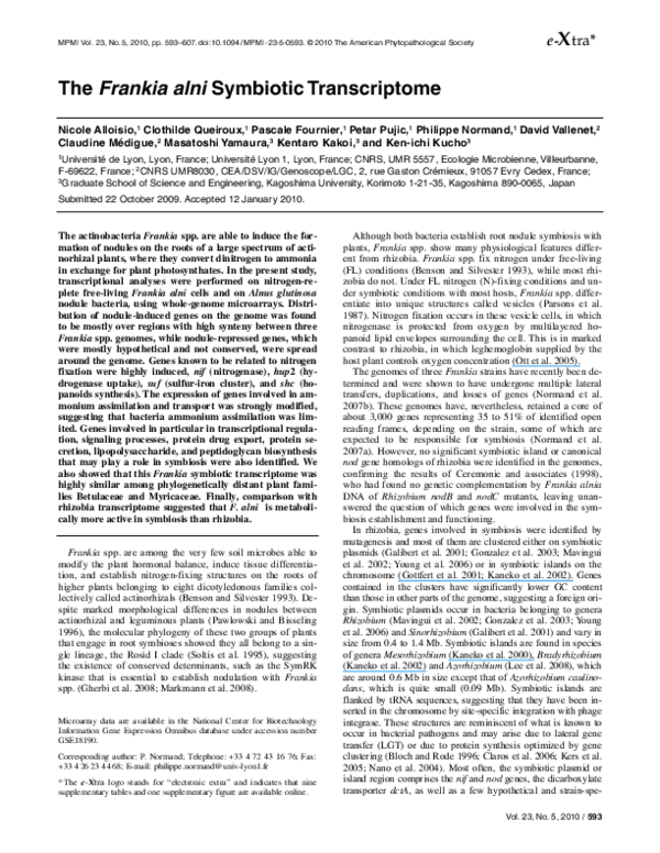 (PDF) The Frankia alni Symbiotic Transcriptome