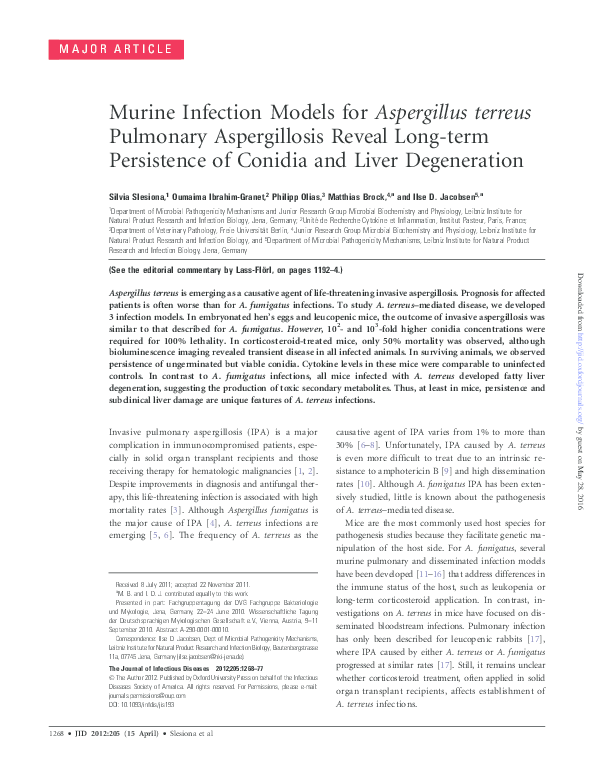 (PDF) Murine Infection Models for Aspergillus terreus Pulmonary ...