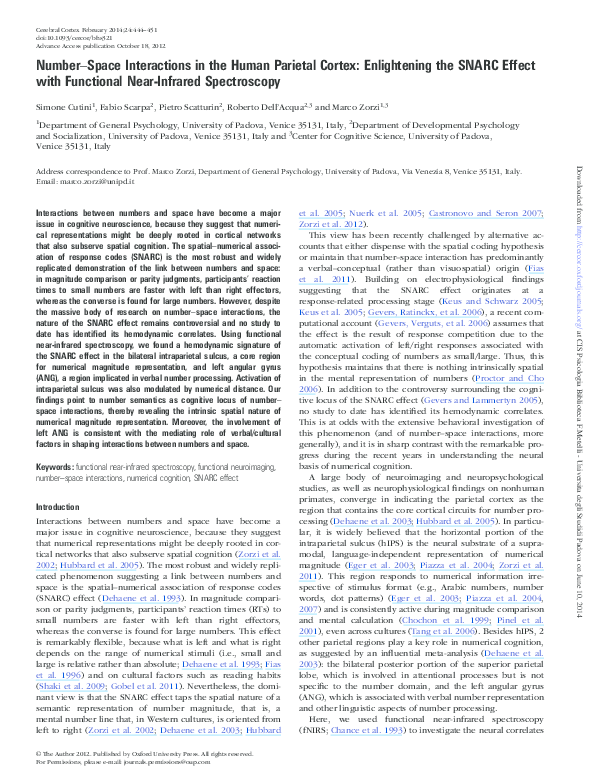 (PDF) Number-Space Interactions in the Human Parietal Cortex: Enlightening the SNARC Effect with ...