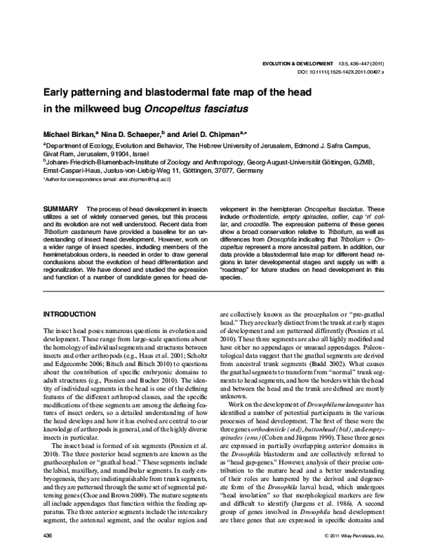 (PDF) Early patterning and blastodermal fate map of the head in the ...