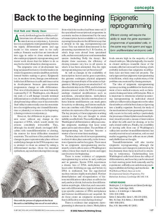 (PDF) Epigenetic reprogramming: back to the beginning