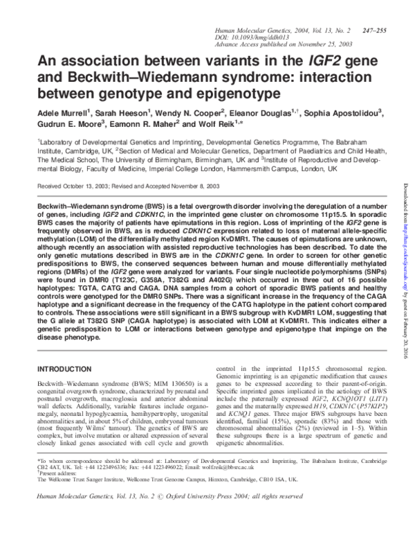 (PDF) An association between variants in the IGF2 gene and Beckwith ...