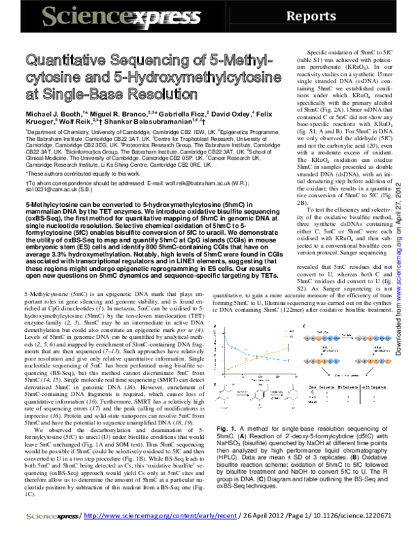 (PDF) Quantitative Sequencing of 5-Methylcytosine and 5 ...