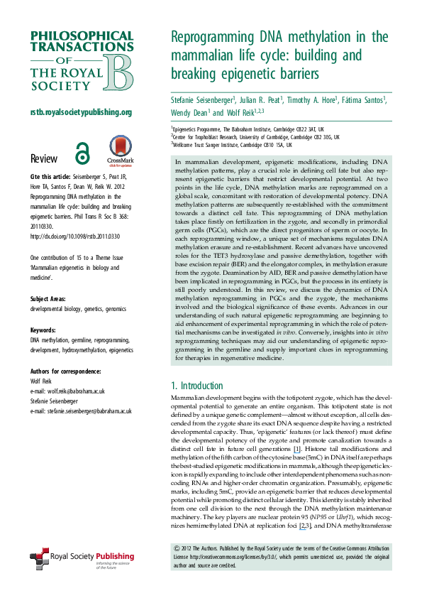 (PDF) Reprogramming DNA methylation in the mammalian life cycle ...