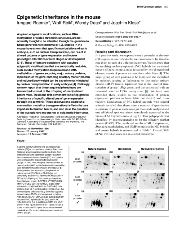 (PDF) Epigenetic inheritance in the mouse