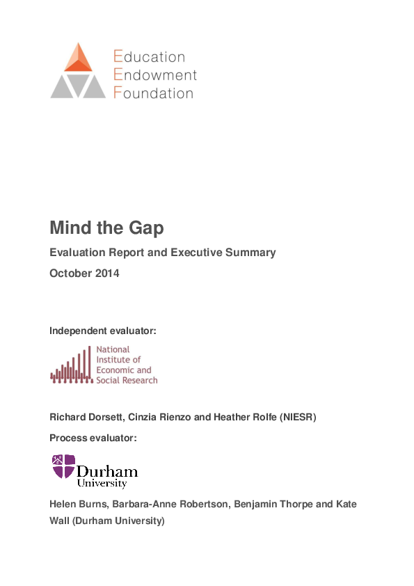 (PDF) Mind the Gap Evaluation: Report and Executive Summary