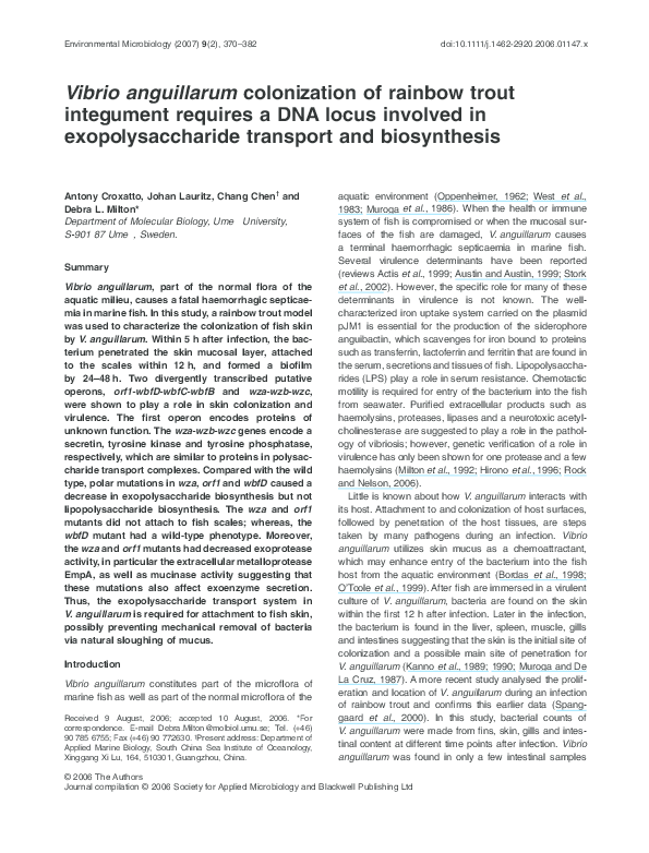 (PDF) Vibrio anguillarum colonization of rainbow trout integument ...