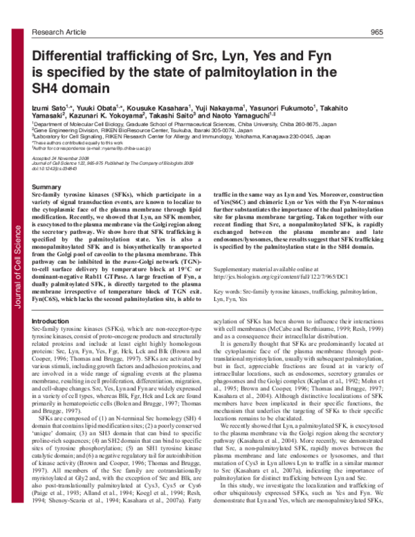 (PDF) Differential trafficking of Src, Lyn, Yes and Fyn is specified by ...