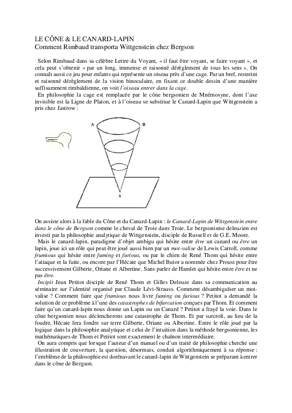 (PDF) LE CÔNE & LE CANARD-LAPIN Comment Rimbaud transporta Wittgenstein ...