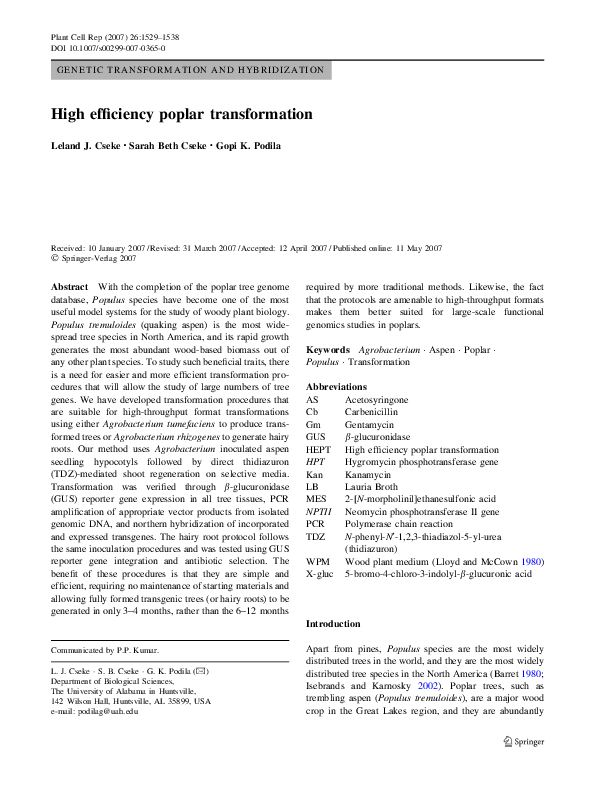 (PDF) High efficiency poplar transformation