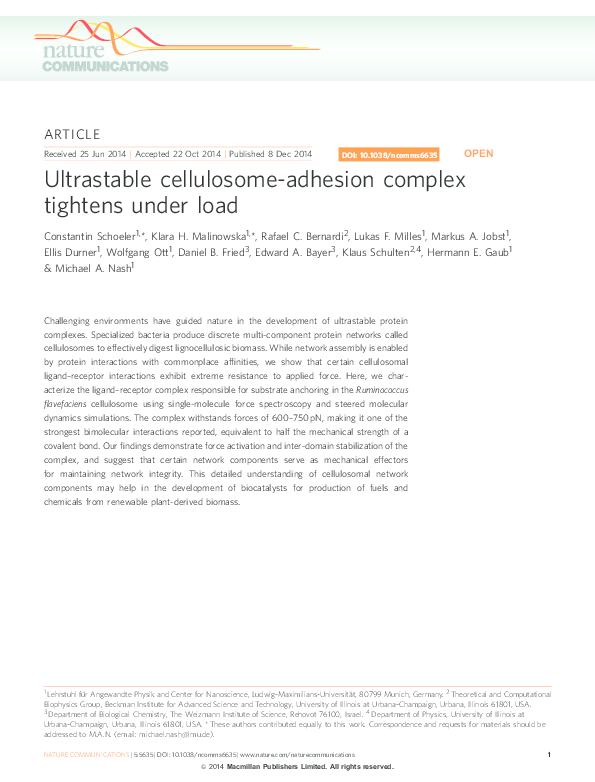 (PDF) Ultrastable cellulosome-adhesion complex tightens under load