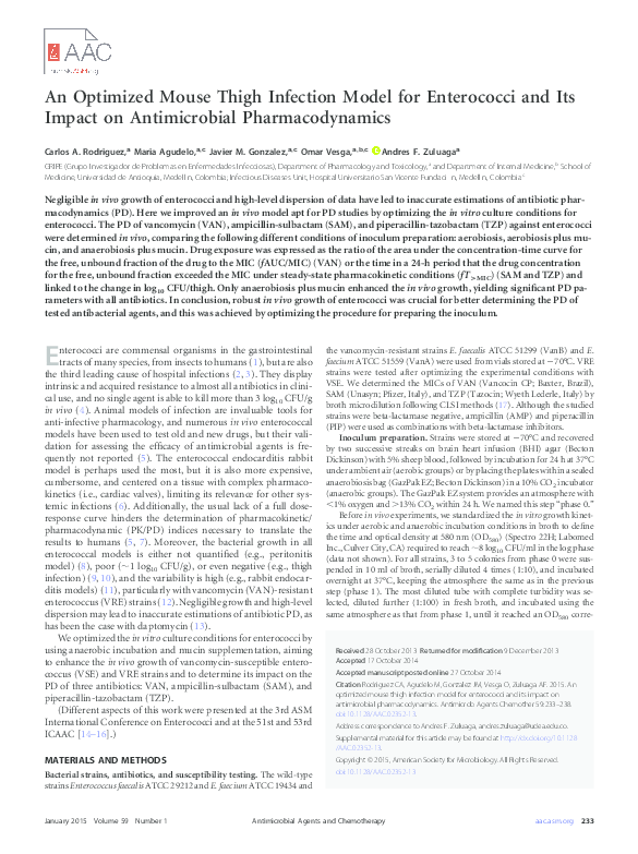 (PDF) An Optimized Mouse Thigh Infection Model for Enterococci and Its ...