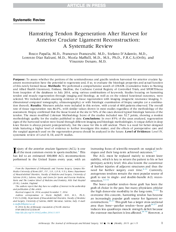(PDF) Hamstring Tendon Regeneration After Harvest for Anterior Cruciate ...
