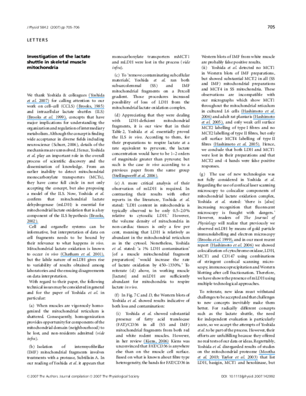 (PDF) Investigation of the lactate shuttle in skeletal muscle mitochondria