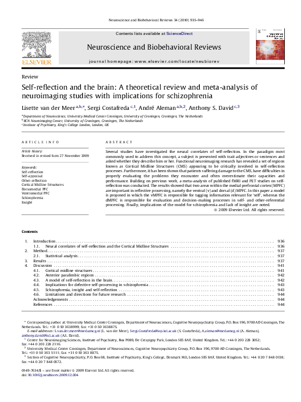 (PDF) Self-reflection and the brain: A theoretical review and meta ...