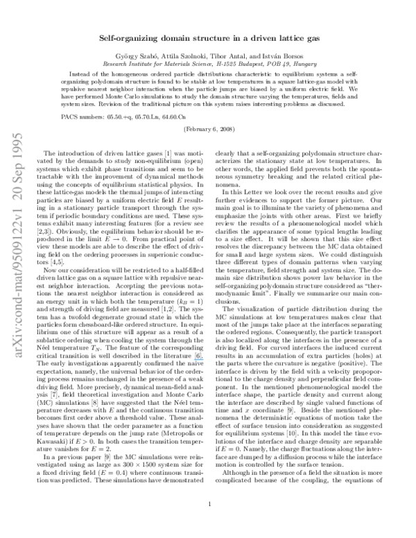 Pdf Self Organizing Domain Structure In A Driven Lattice Gas