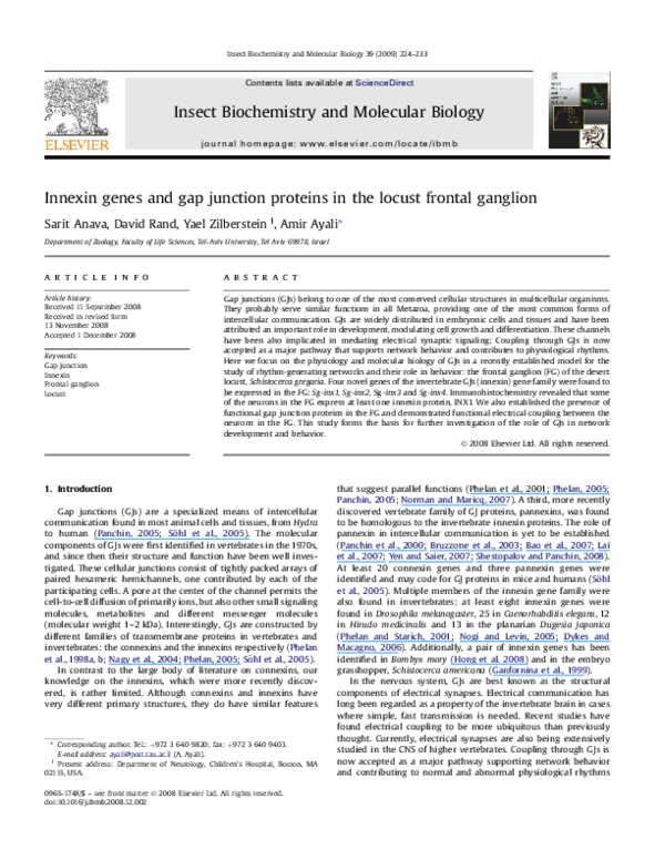 (PDF) Innexin genes and gap junction proteins in the locust frontal ...