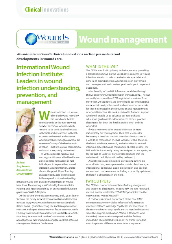 (PDF) Wound management International Wound Infection Institute: Leaders ...