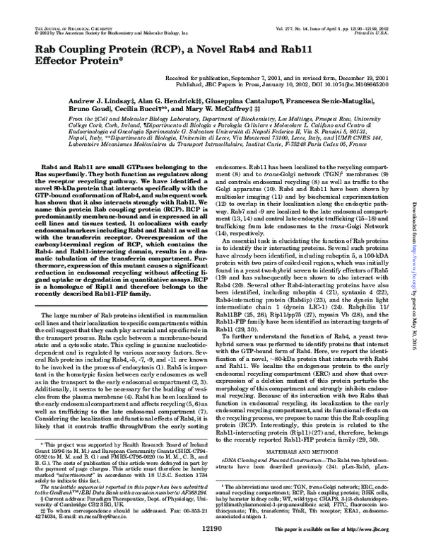 (PDF) Rab Coupling Protein (RCP), a Novel Rab4 and Rab11 Effector Protein