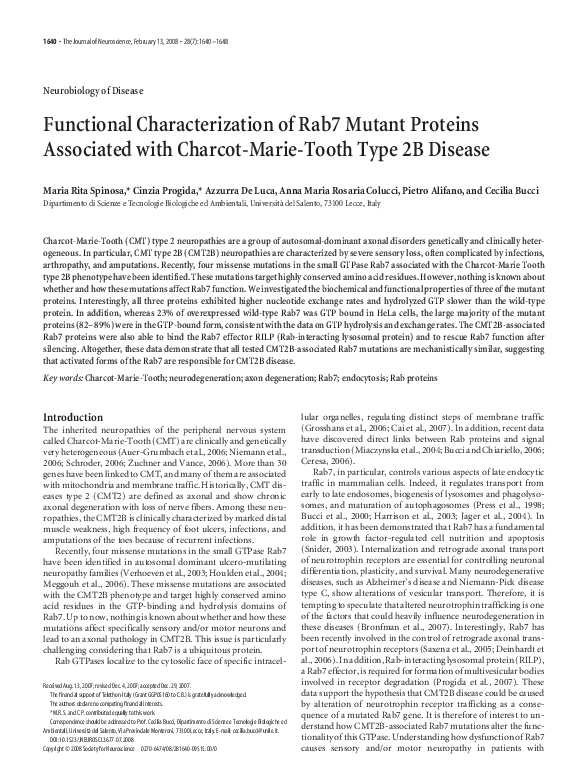 (PDF) Functional Characterization of Rab7 Mutant Proteins Associated ...