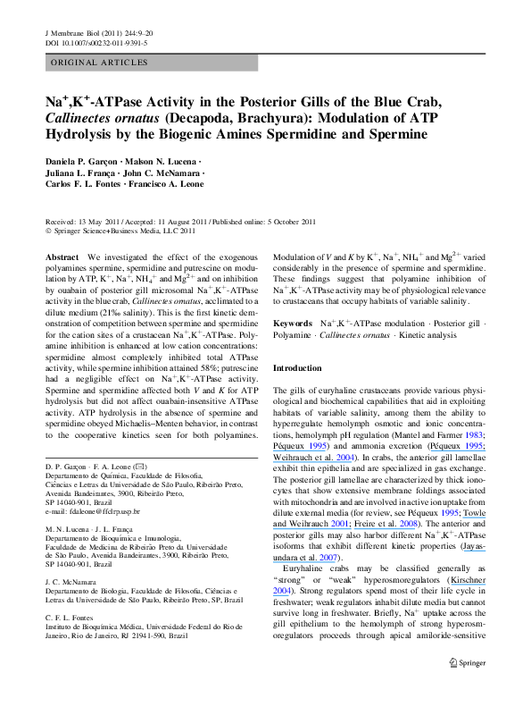 (PDF) Na+,K+-ATPase Activity in the Posterior Gills of the Blue Crab ...