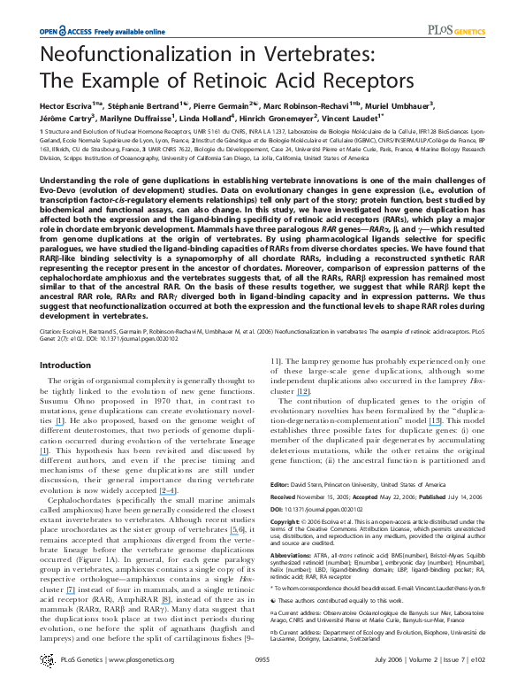 (PDF) Neofunctionalization in Vertebrates: The Example of Retinoic Acid ...