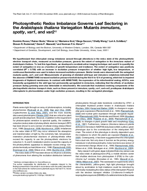 (PDF) Photosynthetic Redox Imbalance Governs Leaf Sectoring in the Arabidopsis thaliana ...