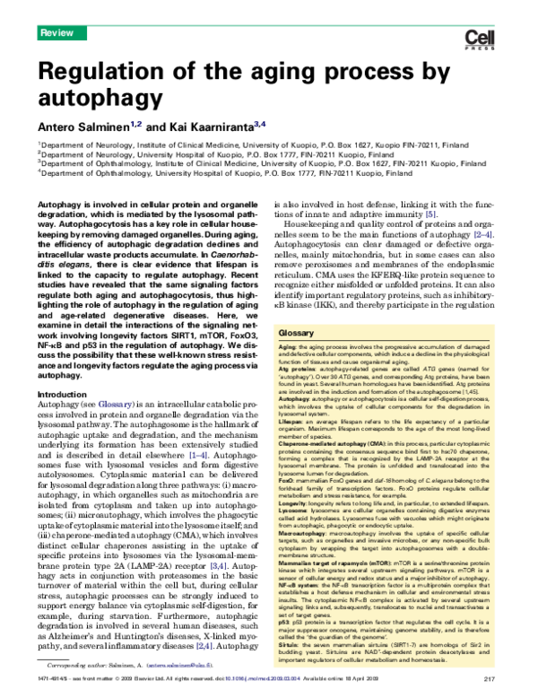 (PDF) Regulation of the aging process by autophagy
