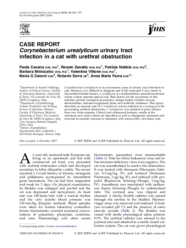 (PDF) Corynebacterium urealyticum urinary tract infection in a cat with ...