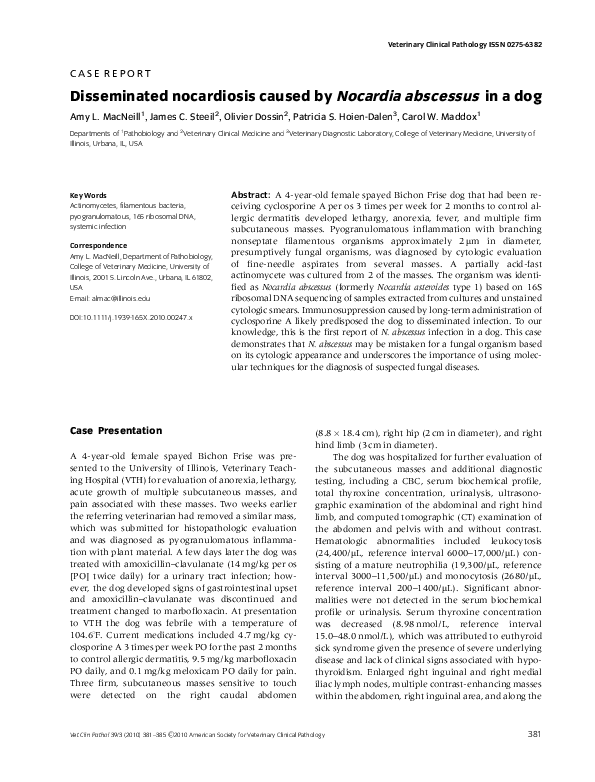 (PDF) CASE REPORT: Disseminated nocardiosis caused by Nocardia ...