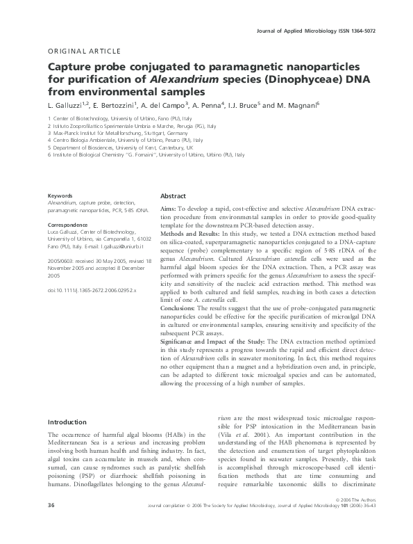 (PDF) Capture probe conjugated to paramagnetic nanoparticles for ...