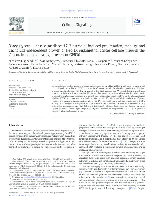 (PDF) Diacylglycerol kinase α mediates 17-β-estradiol-induced ...