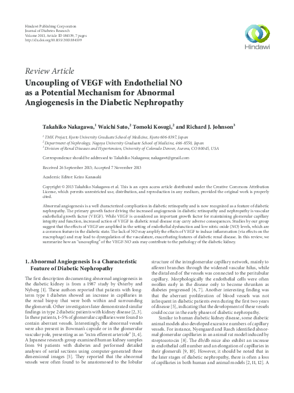 (PDF) Uncoupling of VEGF with endothelial NO as a potential mechanism ...