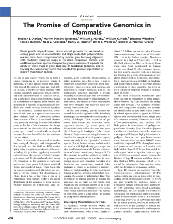 (PDF) The Promise of Comparative Genomics in Mammals