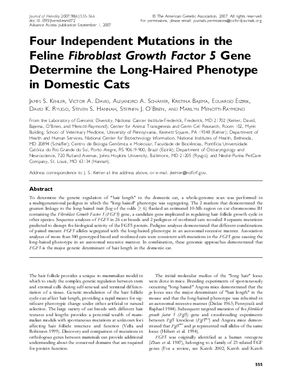 (PDF) Four Independent Mutations in the Feline Fibroblast Growth Factor ...